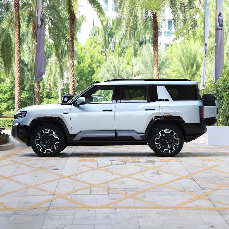 BYD Leopard 8: 5 seats, 6 seats, or 7 seats — your choice| DDong Automobile