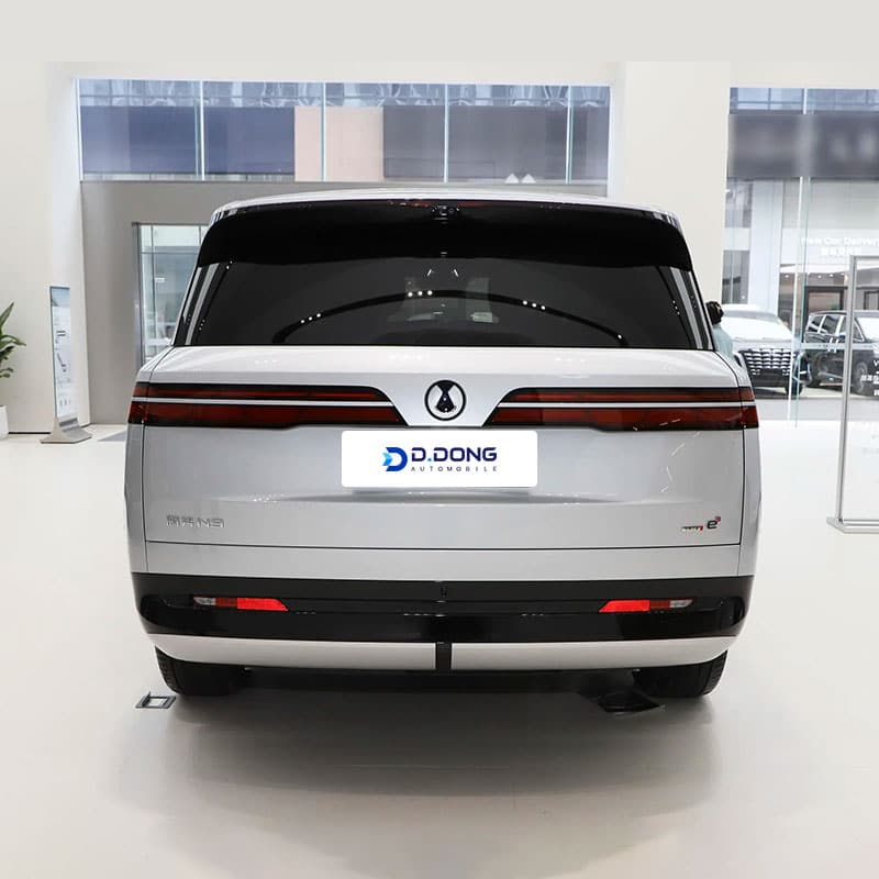 BYD Denza N9 | DDong Automobile